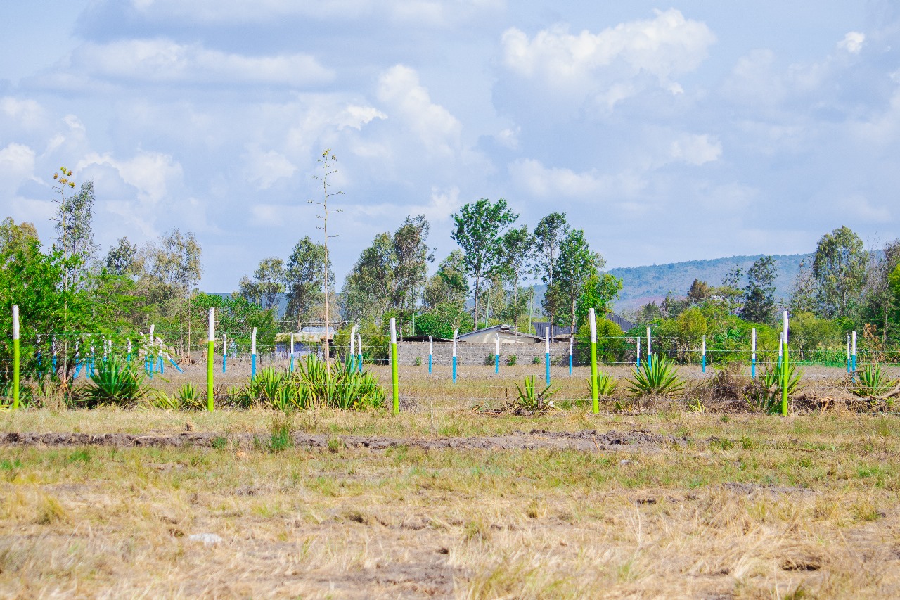 Thika Salama Residential Plots – KES 899,000 - Imarika Homes Concepts
